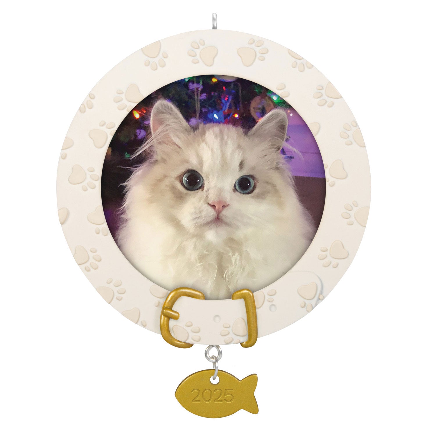 Furry Friend 2025 Photo Frame Ornament – Norman's Hallmark